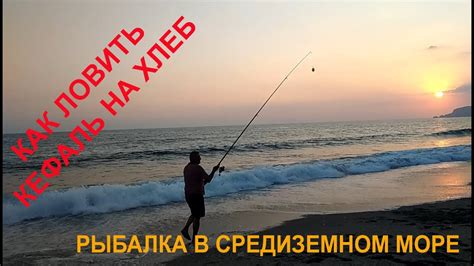 Рыбалка в Турции Как ловить кефаль в Средиземном море Рыбалка в
