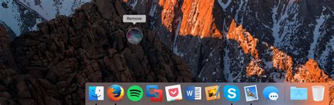 How To Remove The Siri Icon Shortcut From Your Macs Menu Bar And Dock