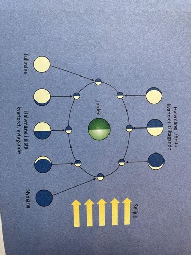 Naturvetenskap Och Teknik Flashcards Quizlet