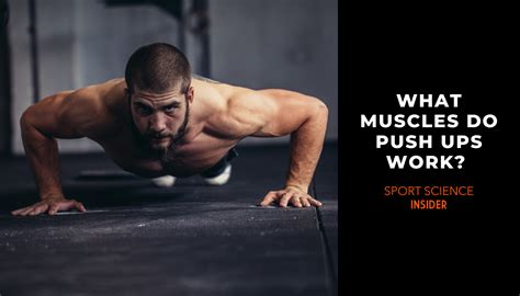 What Muscles Do Push Ups Work Variations Sport Science Insider
