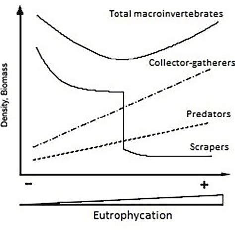 Trend Response Macroinvertebrate Groups Based On Functional Feeding Download Scientific Diagram