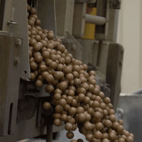 Sustainability Nutworks