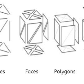 An Illustration That Shows The Differences Between Vertices Edges Download Scientific