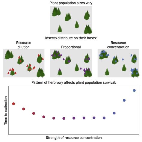 Plant Population