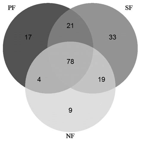 Diagram Layers Of The Rainforest Venn Diagram Mydiagramonline