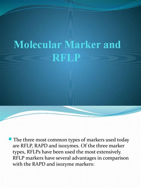 Molecular Markers And Rflp Lecture 13 Pdf Wellness Computers
