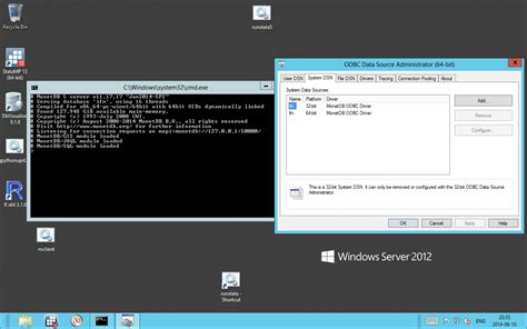 MonetDB ODBC Driver Memory Allocation Error On Windows Database