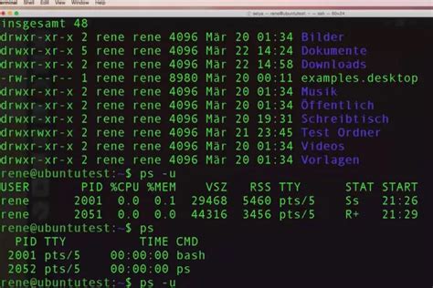 Panduan Linux Untuk Pemula Belajar Dasar And Mengatur Ubuntu