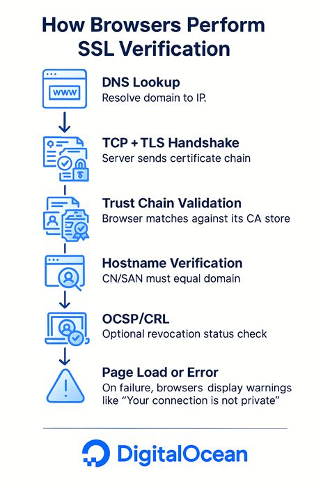 SSL Verification What It Is And How To Enable It DigitalOcean