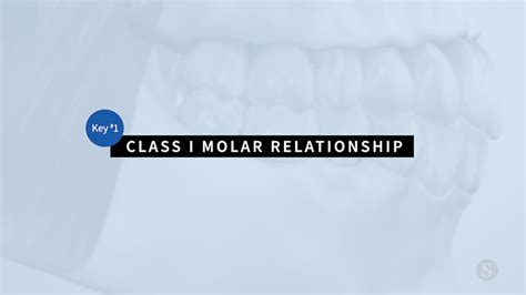 Six Keys Of Orthodontic Occlusion Part 1 Spear Education