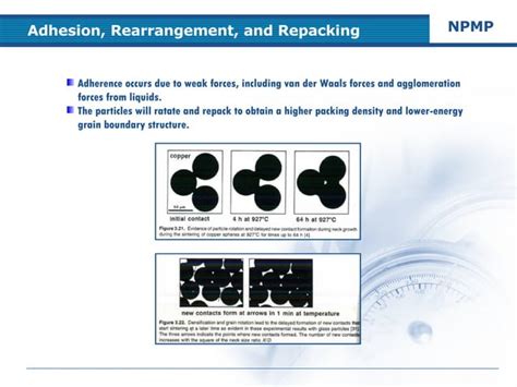 Solid State Sintering Fundamentals Ppt