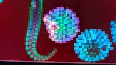 Download The Worm Game 1 0 For Windows
