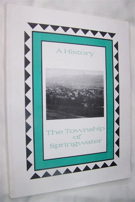 1997 HISTORY OF TOWNSHIP SPRINGWATER NY BOOK J REID ROBINSON Cities