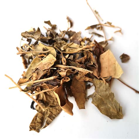重庆四川特产老鹰茶叶老荫茶红白茶专用火锅底茶老阴茶虎窝淘