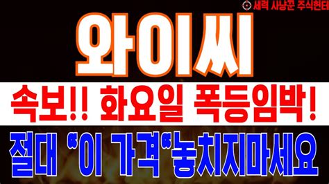 와이씨 속보 화요일 폭등임박 절대 이 가격놓치지마세요 Youtube
