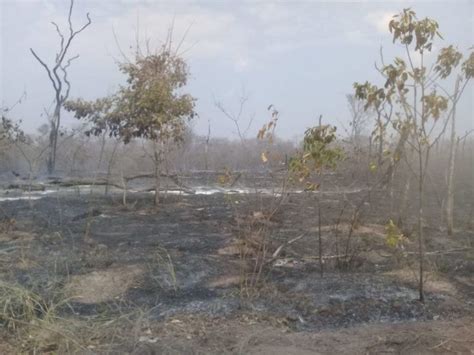 Los Incendios Forestales En Jujuy Ya Afectaron A Más De 650 Hectáreas