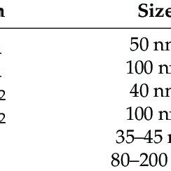 TiO 2 And ZnO Nanoparticles Used To Treat Samples Download Scientific Diagram