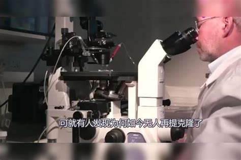 为何如今无人再提克隆了？看看克隆羊多莉的下场，令人脊背发凉多莉克隆下场