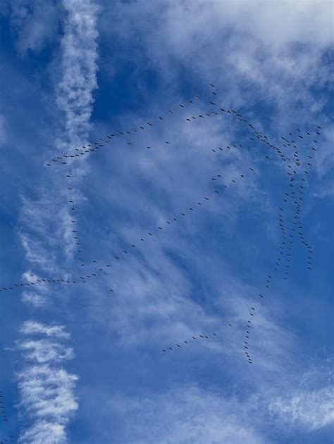 Plain Blue Sky Rskyporn