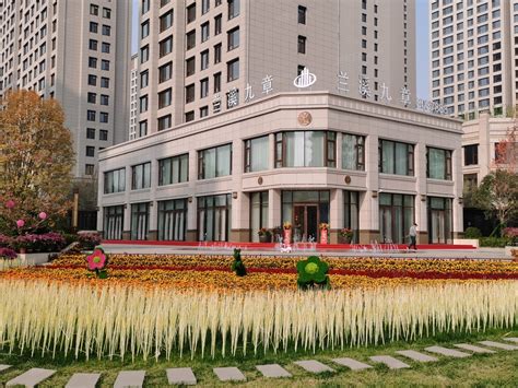 中翔·兰溪九章项目规划8栋平墅中翔·兰溪九章 保定房天下