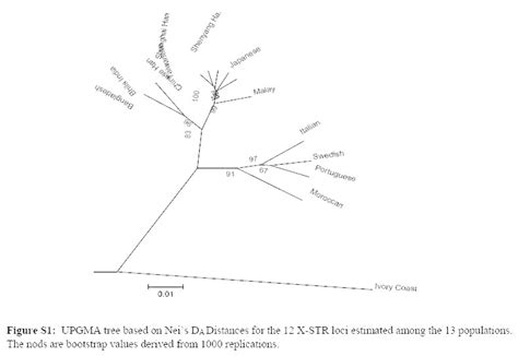 UPGMA Tree Based On Neis DA Distances For The X STR Loci Estimated Download Scientific