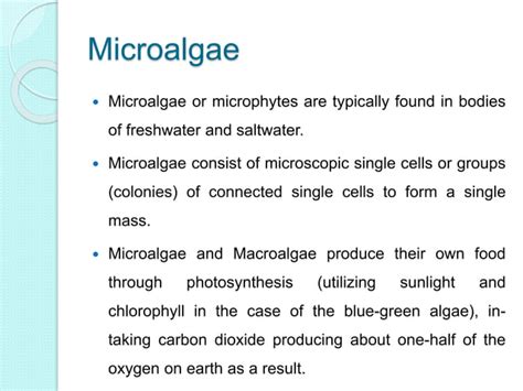 Taxonomic Identification Of Micro And Macro Algae Pptx