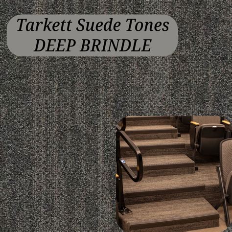 Asthma And Allergy Friendly Certification Program On Linkedin Beautiful And Certified Asthma