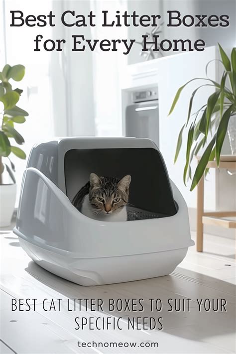 Best Cat Litter Boxes For Every Home Technomeow