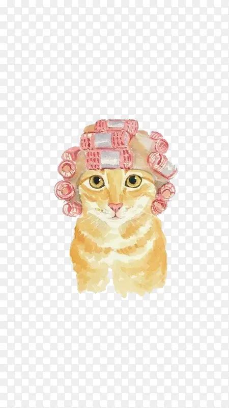 烫发小猫PNG图片素材下载 图片编号ymrdbpxn 免抠素材网