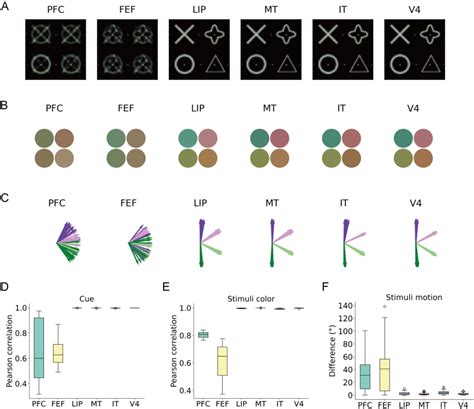 figure 4 from decoding region level visual functions from invasive 1