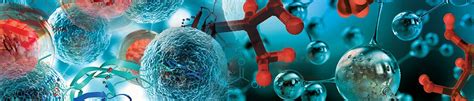 Orbitrap Tribrid Mass Spectrometers Thermo Fisher Scientific In
