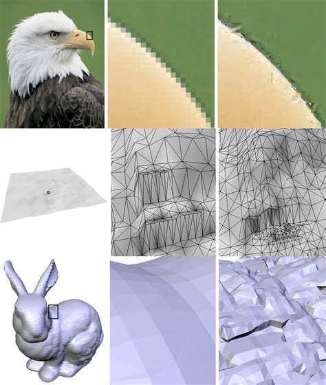Three Examples Of Added Detail On Fractal Decompression Top 2d Model