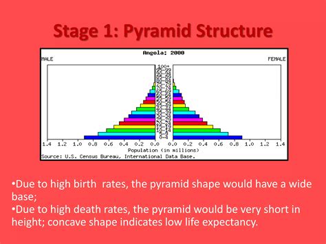 4 Demographic Transition Model Pptx