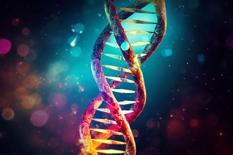 The Unexpected Key To Safe Gene Therapy Bird Junk Dna Pointers