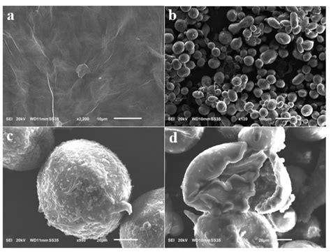 Sem Image Of Go A And C Ow Microcapsules B D Download