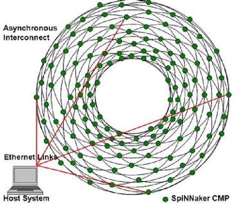 Figure 5 From Biologically Inspired Massively Parallel Architectures Computing Beyond A