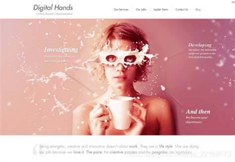 12个优秀的 Html5 网站设计案例欣赏鉴定网站设计案例 Csdn博客