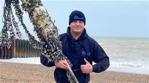 Coastal Clean Up And Forage On New Years Day At Seaford Beach Youtube