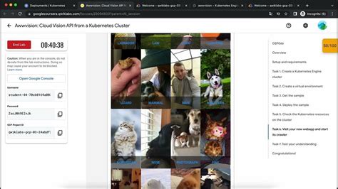 Awwvision Cloud Vision Api From A Kubernetes Cluster Gsp066 Youtube