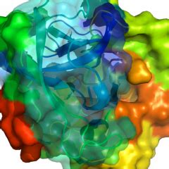 Transparency PyMOLWiki