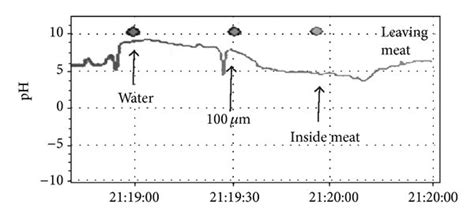 A Unisense Ph Microelectrode Measurements Performed In Canned Salmon Download Scientific A Unisense Ph Microelectrode Measurements Performed In Canned Salmon Download Scientific