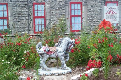 A Treasure In A Garden Photograph By Barbara Mcdevitt Fine Art America