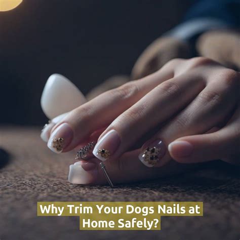 Why Trim Your Dogs Nails At Home Safely Pet Health Advisor