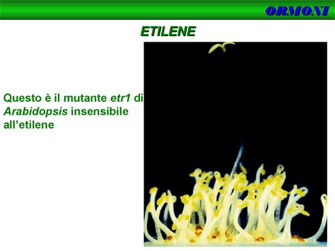 Appunti Chimica Organica Docsity
