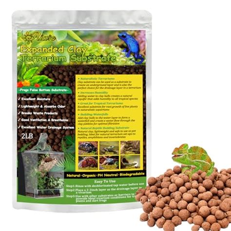 A Guide To Freshwater Aquarium Crabs Types Tank Setup And Care