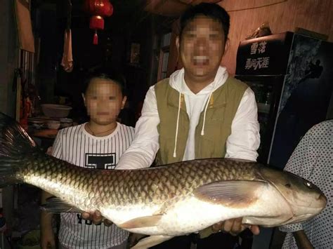 生活不止眼前的苟且，还有钓鱼和巨物钓鱼人