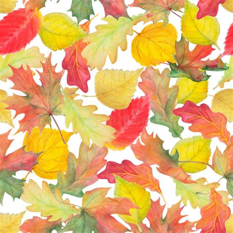 Watercolor Autumn Collection Oak Maple Aspen And Birch Leaves Stock