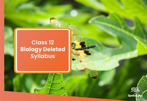 Class 12 Biology Deleted Syllabus Artofit