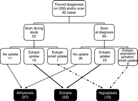 Figure 1 From Pitfalls In The Diagnosis Of Thyroid Dysgenesis By