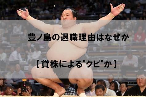 豊ノ島井筒親方退職してタレント転身の理由はなぜか【借株による事実上のクビか】